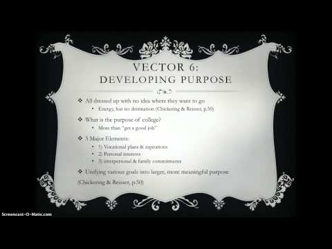Importance of Student Development Theories: Chickening’s Seven Vectors ...