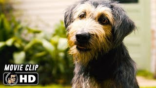 LADY AND THE TRAMP Clip - Dog Moves Out (2019) Disney+