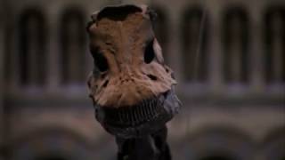 Dippy the dinosaur leaves Natural History Museum