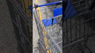 Free Quarters at ALDI⁉️ 😲 #aldi #shorts