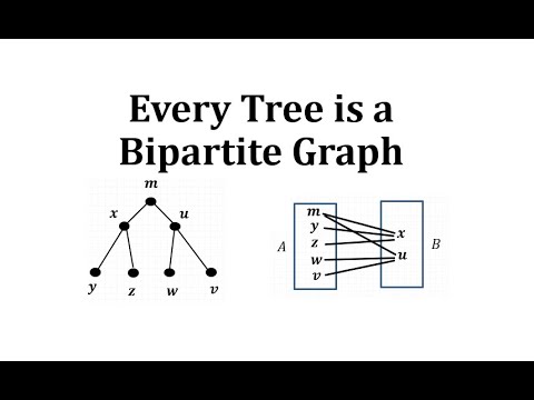 Every Tree is a Bipartite Graph | Math Help from Arithmetic through Calculus and beyond