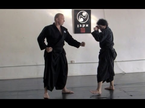 Ninjutsu combat stances - Kamae - Akban-wiki