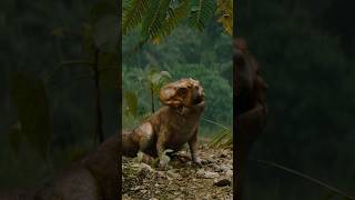 She is our emotional support dinosaur.