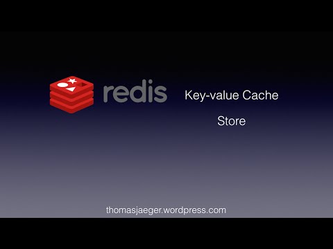 Object Persistence, Part 5 – Video – Redis Provider | Thomas Jaeger