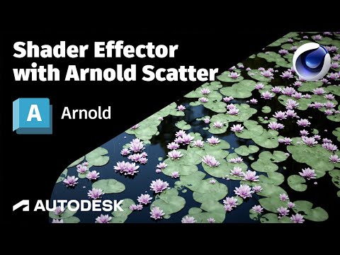 Arnold Tutorial – Shader Effector with Arnold Scatter in Arnold for Cinema 4D (GPU)