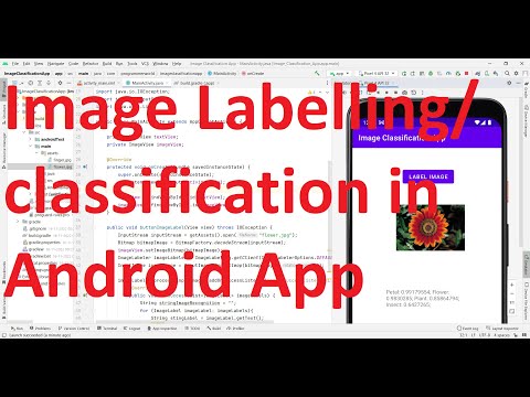 How to implement image classification/ labelling method in your Android App? – programmerworld