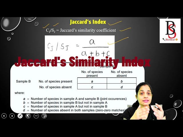 What is Jaccard Similarity | Ai Basics | Ai Online Course