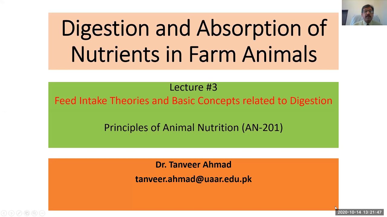 Video Lectures - FoodFeedInfo