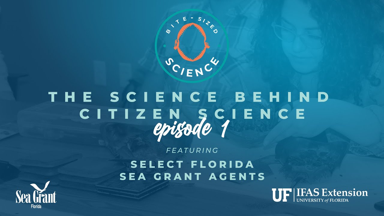 Bite-sized Science - Florida Sea Grant