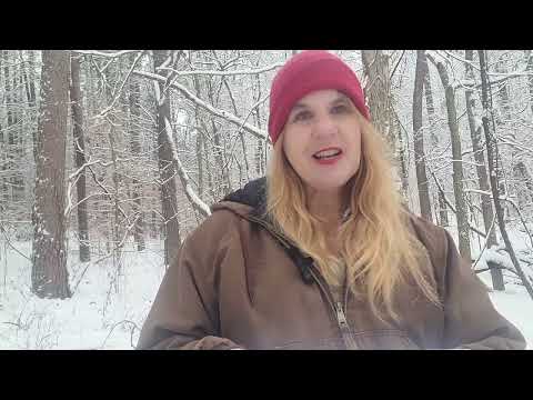 Trail Reading — Snow – Epiphany Ferrell