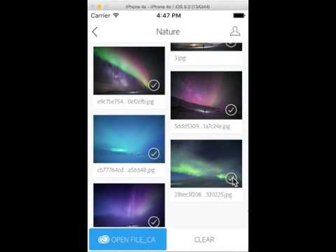 How to set content offset for collection view using NSLayoutConstraint – Random
