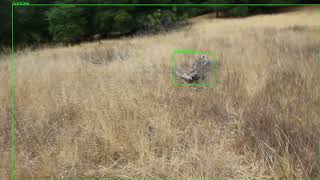 GitHub - UnVeilX/unveilx: AI powered drones to detect landmine and save a life