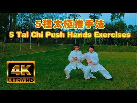 5 Tai Chi Push Hands Exercises 5种太极推手法 | Карате-Джуджуцу-Айкиджуцу