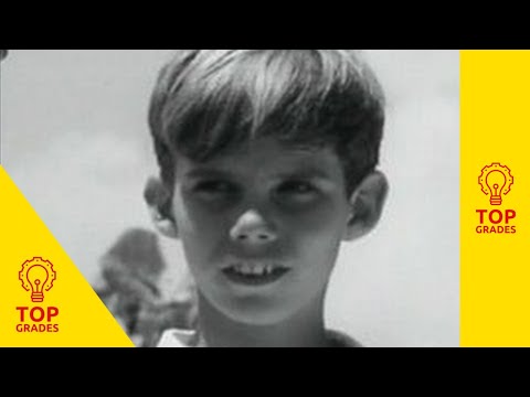 Modern Text Exam – dominic salles Lord of the Flies | ‘The English Blog’ by A Tutor Calls