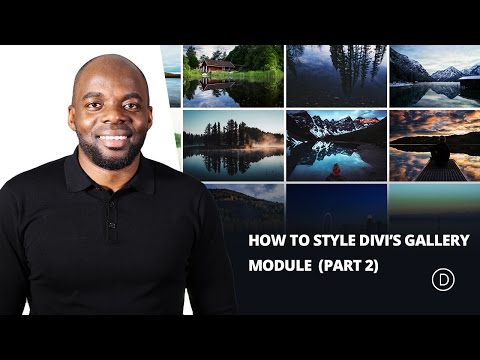 Using the Divi Gallery Module to Create a Tiled Gallery with Custom Padding – Site Title