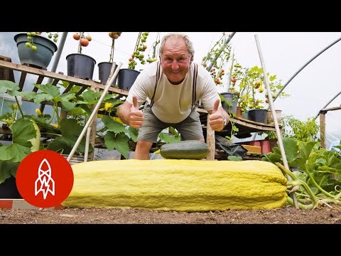 Mega vegetables | WoW