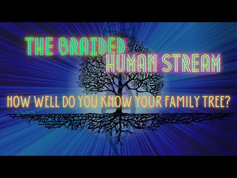 The Human Family Tree? – World of Paleoanthropology