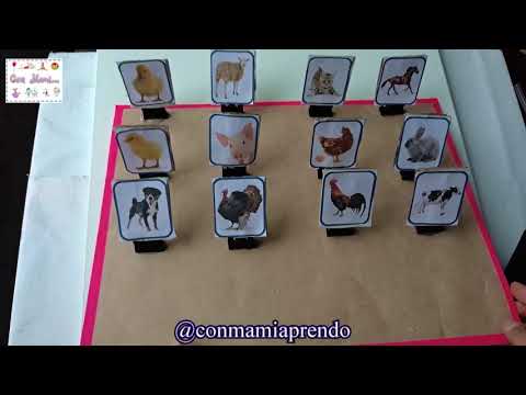 Hacer un «Quién es quién» («Guess who») con animales – Biología y ...