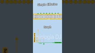 Simple diffusion | Passive transport across cell membrane | Graph of simple diffusion