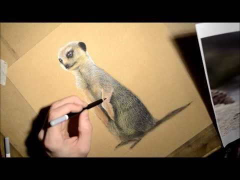 How to Paint a Meerkat – Art Tuition Video No.157 | contemporary ...