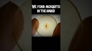 Those who know ???? #shorts #dinosaur #jurassicpark #jurassicworld #trollface #fossil #paleontology