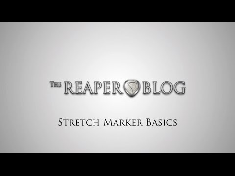 REAPER: An Exhaustive Review / ExtremRaym