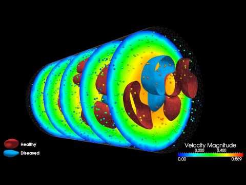 ParaView is an open-source, multi-platform data analysis and visualization application. – Go ...