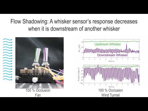 Research – Teresa A Kent