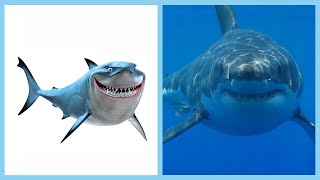 Finding Nemo And Finding Dory Characters In Real Life!