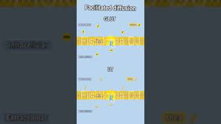 Facilitated diffusion | Facilitated diffusion explained | Facilitated diffusion examples