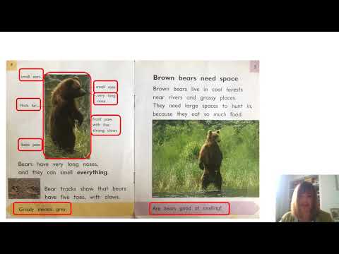 Learning to Read: Brown Bears, level 19 – CLF Primary Literacy