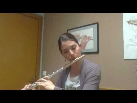 BRICO FLAUTA – DOBLE PICADO | Bricoflauta