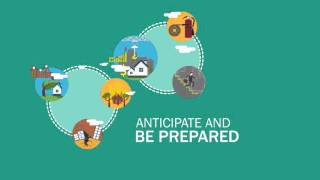 Risk Management Policy