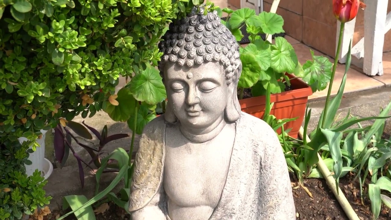 SKYLAB INDUSTRIES - Плазмени продукти GANS / ГАНС