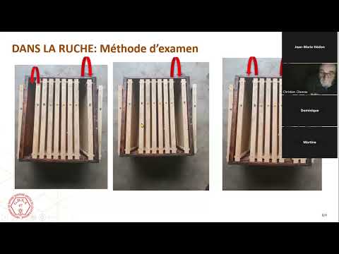 GDSA 47 Visite de printemps et comment changer 2 cadres par an