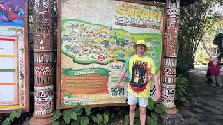 Mara River Safari Lodge Hotel, Bali - Room Tour