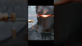 The Day the Earth Stood Still (2008) | GORT Unleashes Nanotech Apocalypse ????????????