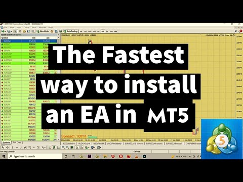 How to Install an EA(Expert Advisor) in MT5 – The Nomad Trader