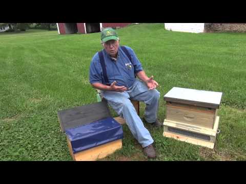 The Quiet Box by sassafrasbeefarm | Beekeeping365