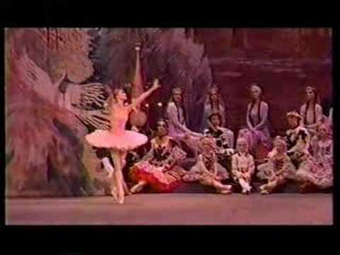 Dance of the Sugar Plum Fairy & Tchaikovsky & The Nutcracker | What Do ...