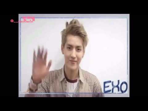 [ENG SUB] EXO @ Dodol Pop App Alarm Compilation | EXOTIC PLANET
