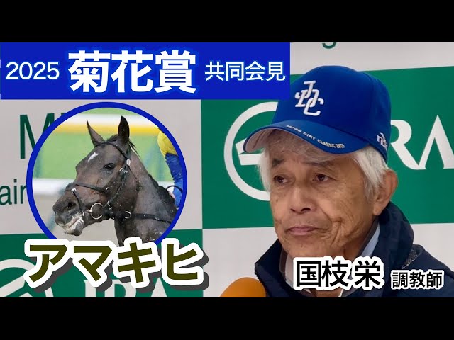 【動画】アマキヒの国枝栄調教師「いいレベルにもって来れているので、勝負になるかな」…菊花賞共同会見 - UMATOKU | 馬トク