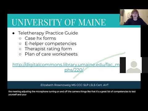 Teletherapy 101 Webinar Recording – Elizabeth A. Rosenzweig