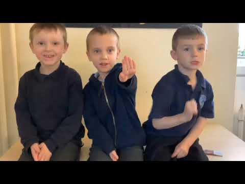 1LI Case Study Reflection | Plover School