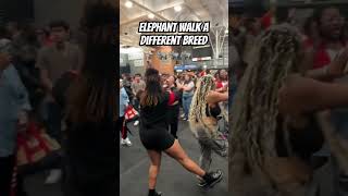 The Elephant Walk is A Deadly Stroll Out Here ????????#deltasigmatheta #fyp #stroll