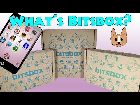 BitsBox Monthly STEM Subscription Box Review – The FANily