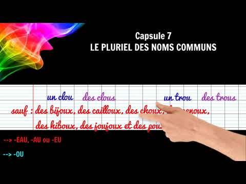 Capsule 7 – Le pluriel des noms communs (cas particuliers) | Le blog ...