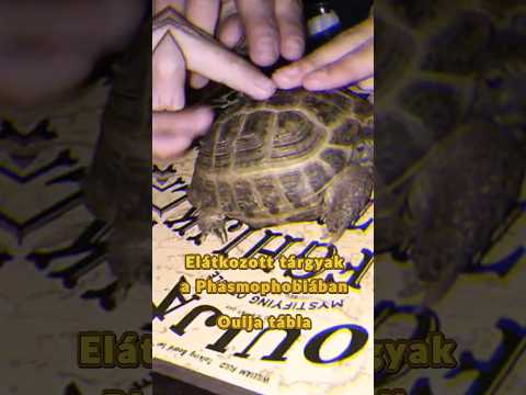 Oujia tábla – Phasmodex