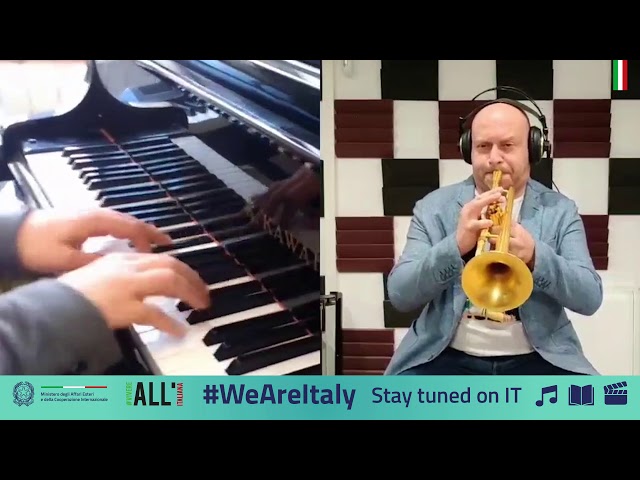 Alessandro Collina - Official Site