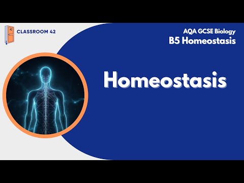 Homeostasis Videos – Classroom 42